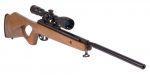 Benjamin Trail NP .22 XL Air Rifle Review : Break Barrel